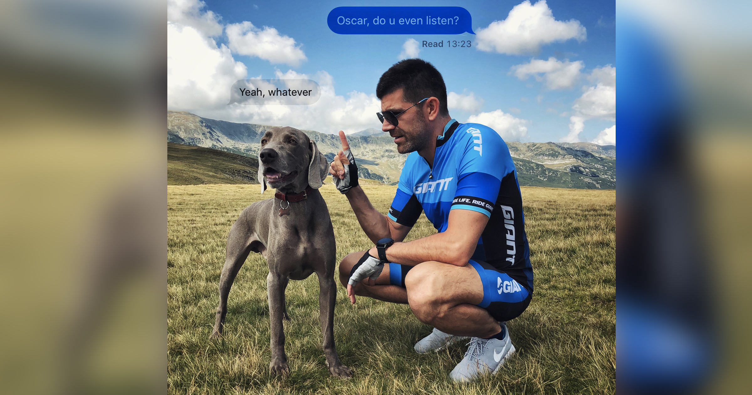 Adevărul despre cine se află în spatele lui Oscar, câinele care l-a ...
